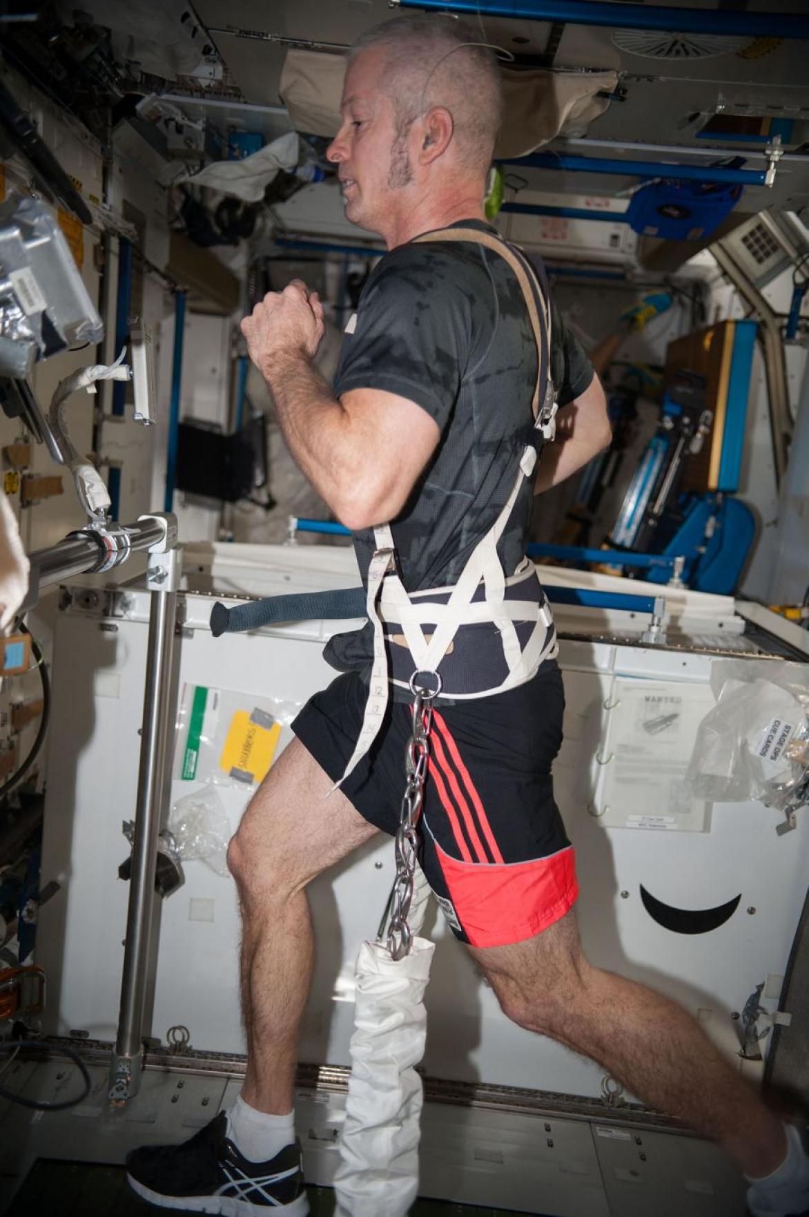 Astronaut gear of the future may fight bone and muscle loss | Harvard ...