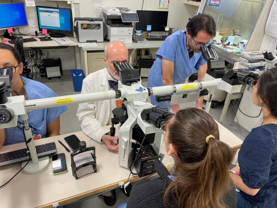 Financial Support | Harvard-MIT Health Sciences and Technology