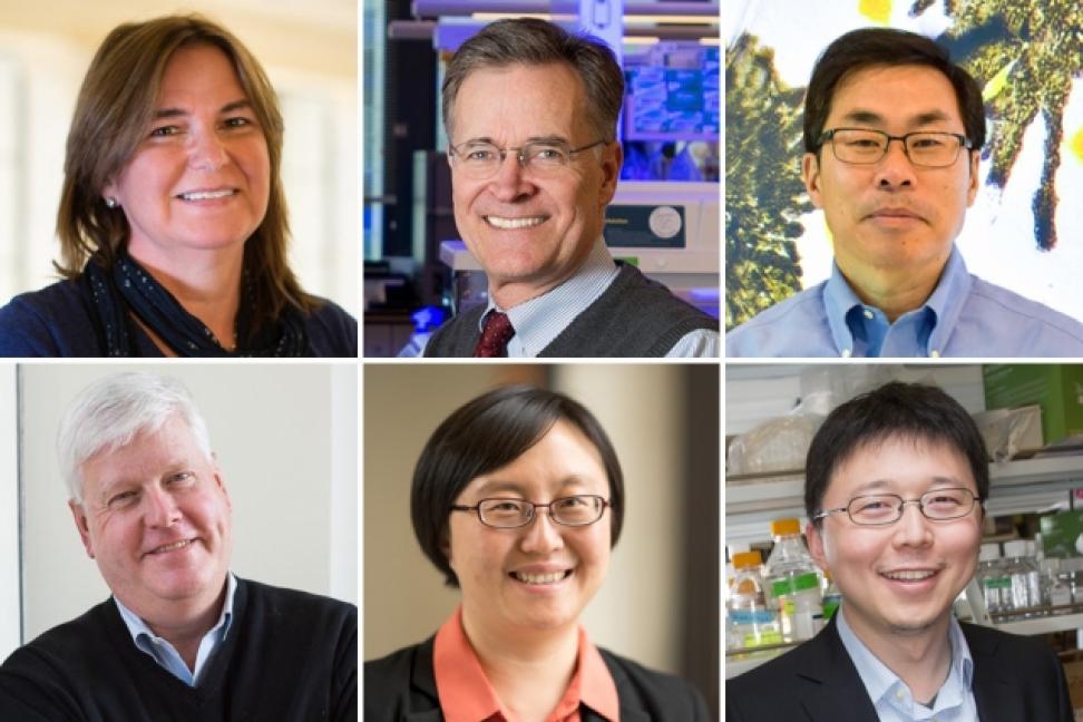 Six from MIT awarded research funding to address Covid-19 | Harvard-MIT ...
