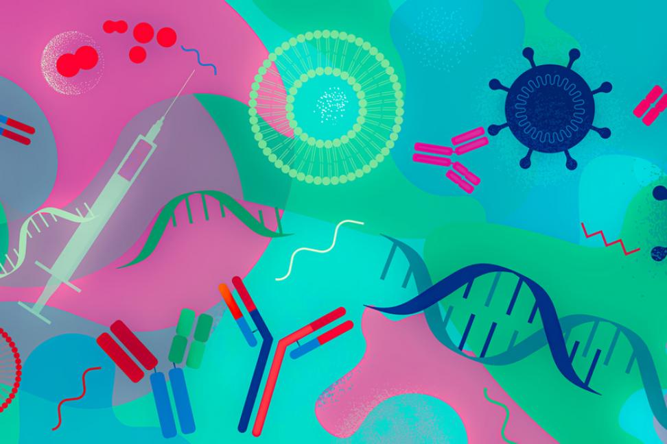 3 Questions: Daniel Anderson on the progress of mRNA vaccines | Harvard ...