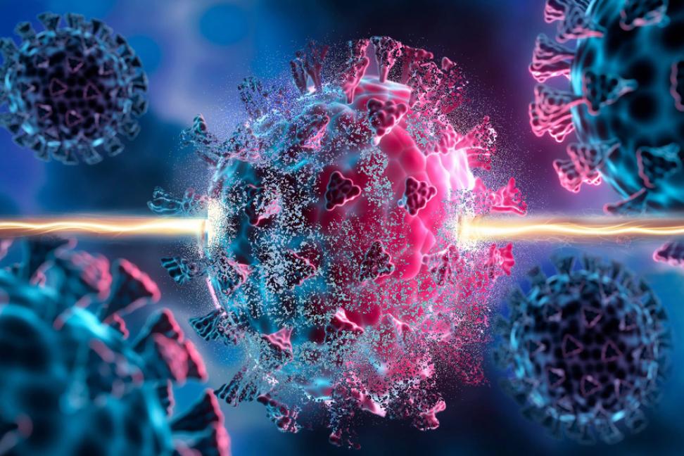 Scientists discover compounds that help cells fight a wide range of ...